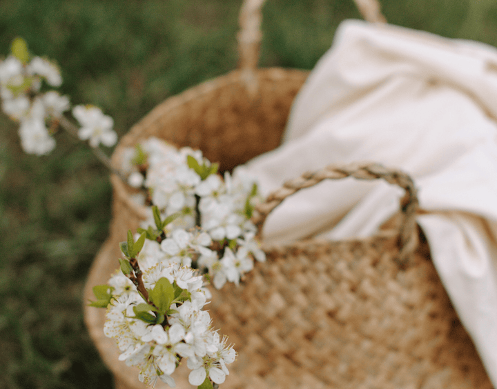 Bedding Care Guide: How to Wash Cotton Bed Sheets and Towels – Delara